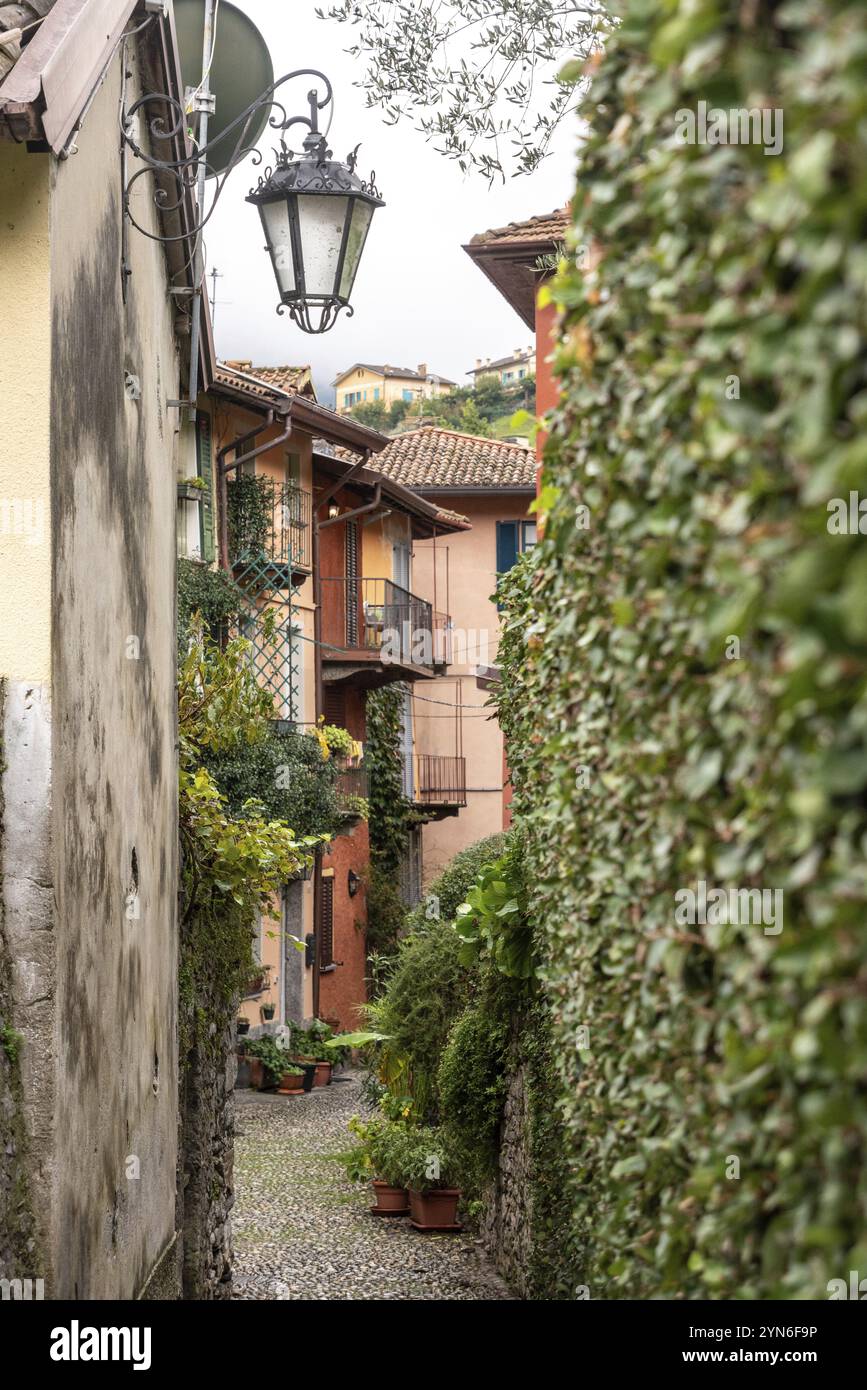 Enchanted structure hi-res stock photography and images - Alamy