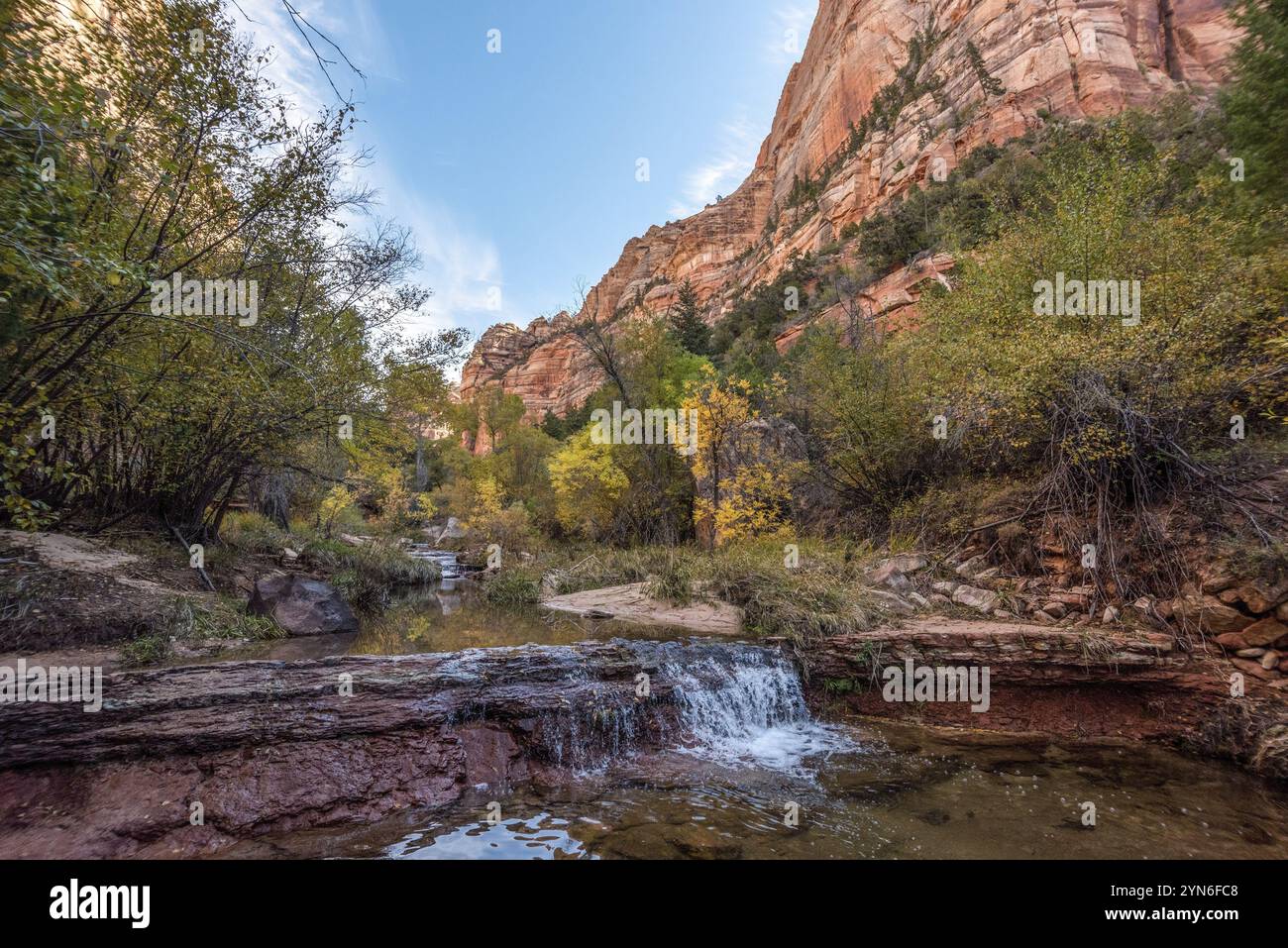 Hiking the Left Fork Trail to the Subway gorge, Zion National Park, USA ...