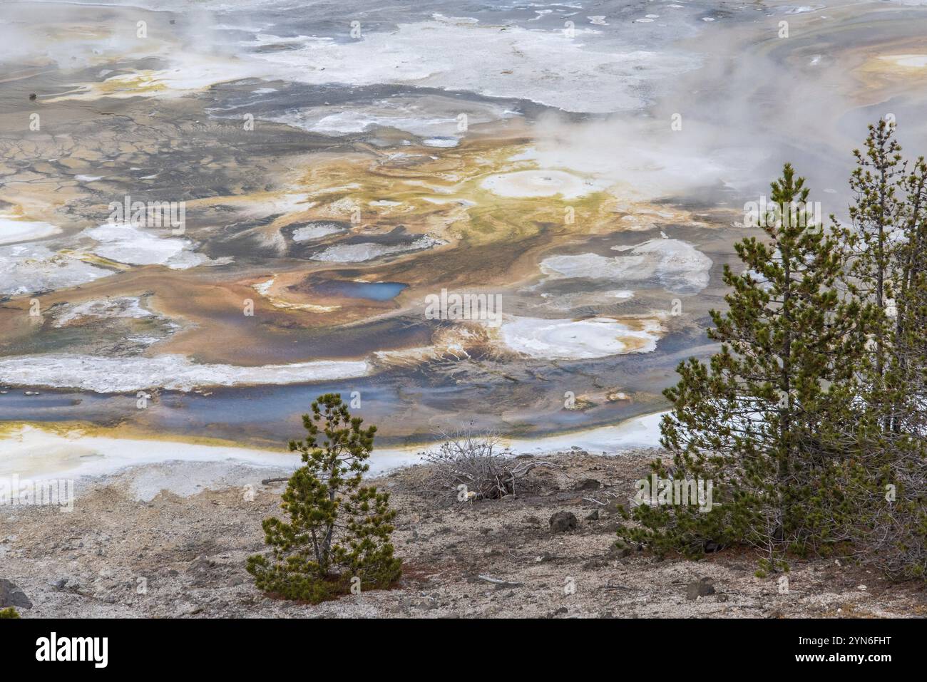 Steaming Mud Pod Area in famous Yellowstone National Park, USA, North ...