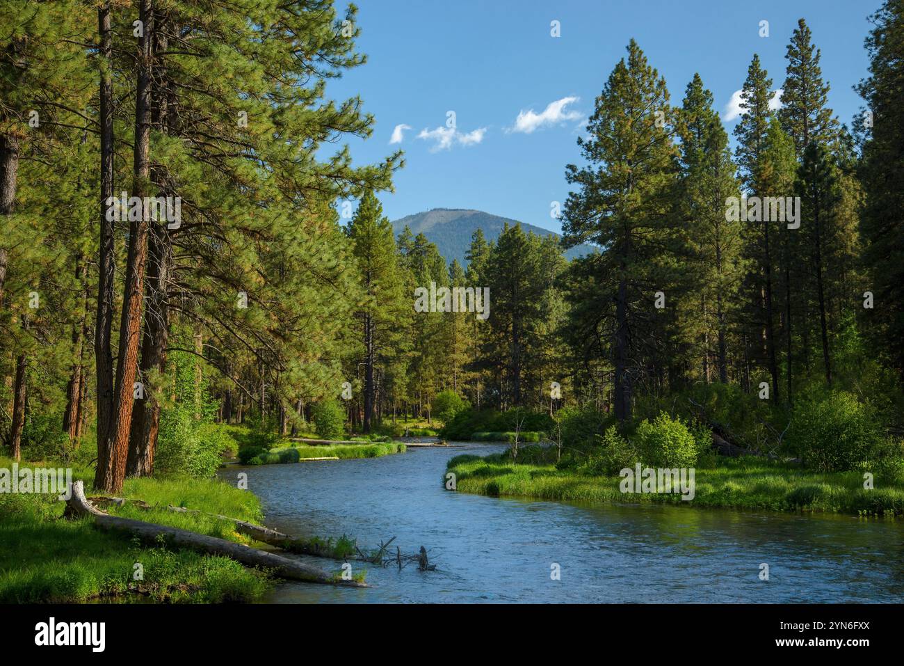 The Metolius River and Black Butte, Deschutes National Forest, Oregon ...