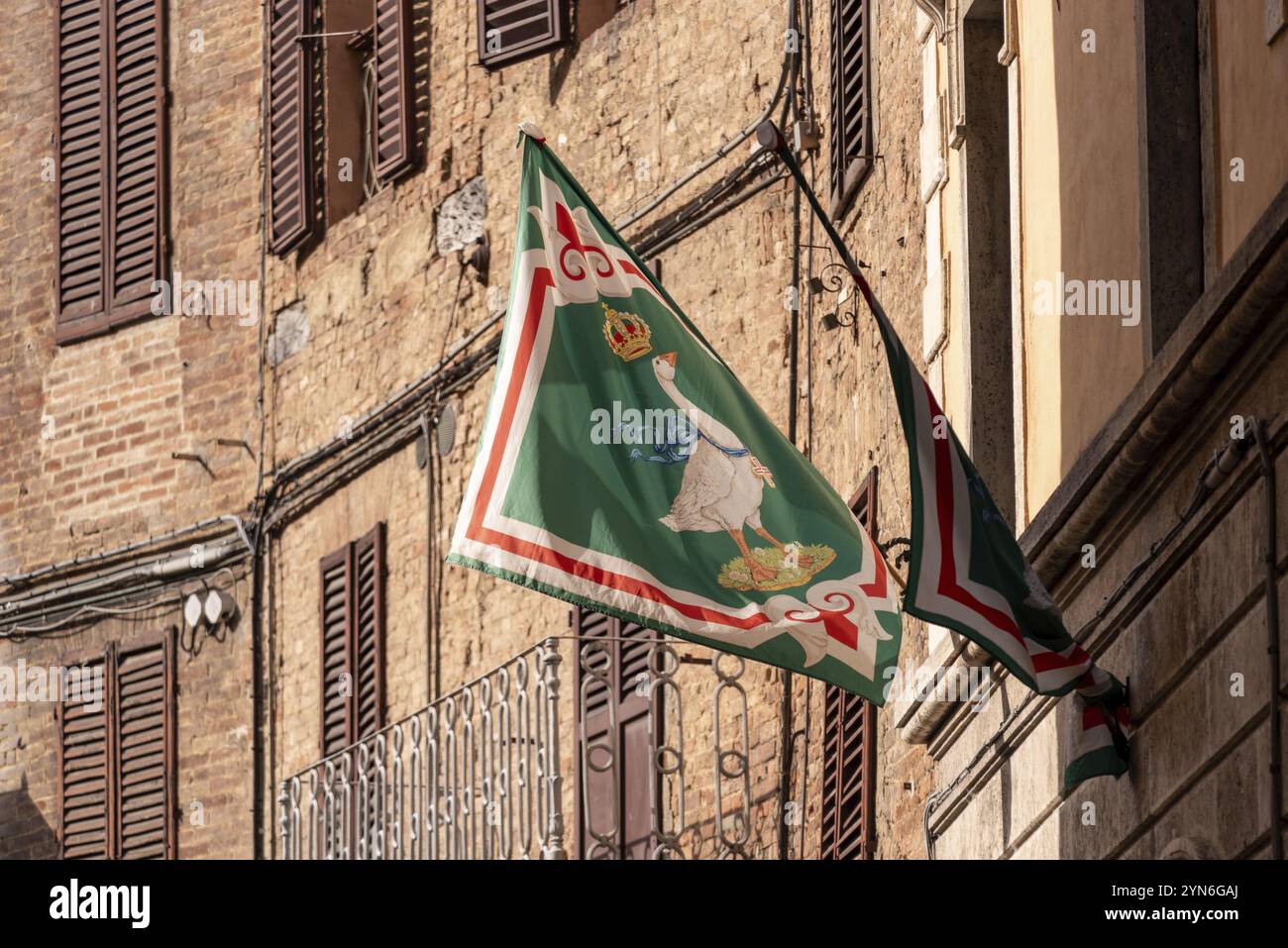 Contrade flags of the Oca-Goose city district hanging in a street in ...