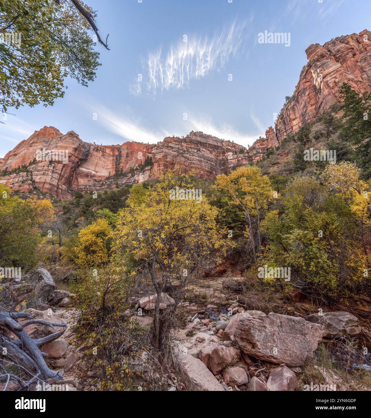 Hiking the Left Fork Trail to the Subway gorge, Zion National Park, USA ...