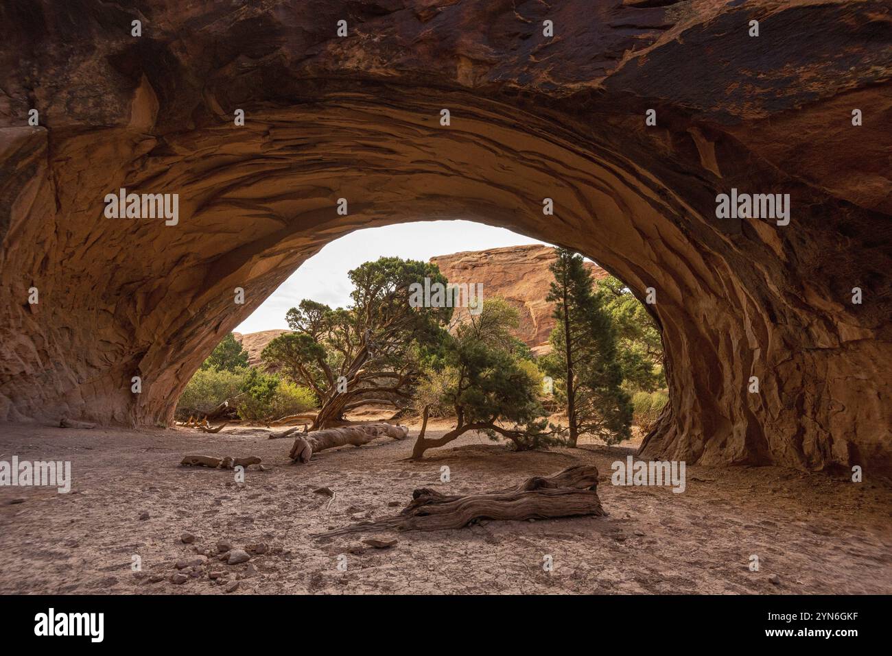 Giant Navajo Arch in the Arches National Park, USA, North America Stock ...
