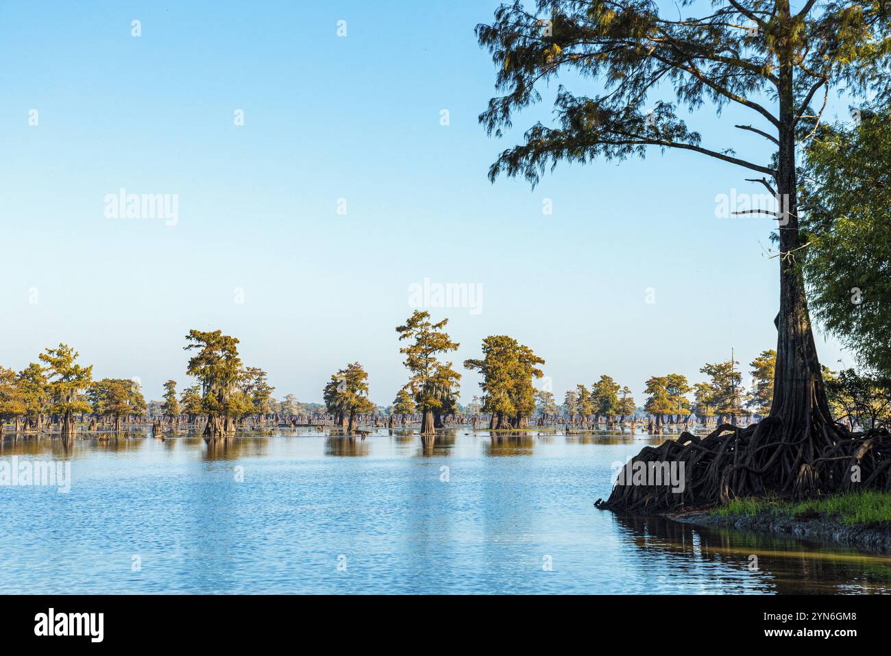 Louisiana bayous people hi-res stock photography and images - Alamy