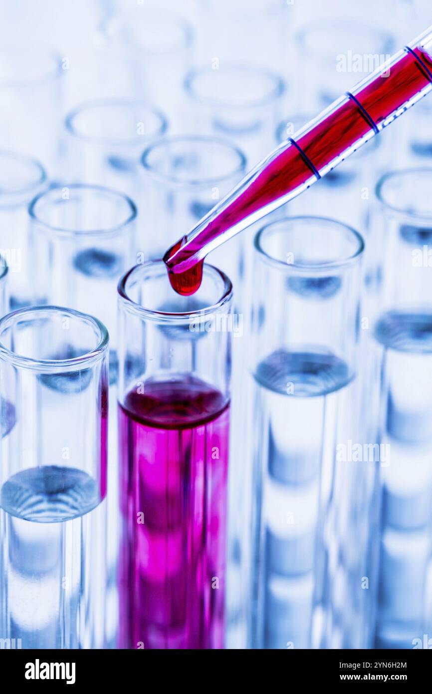 Many test tubes during an experiment in a university research ...