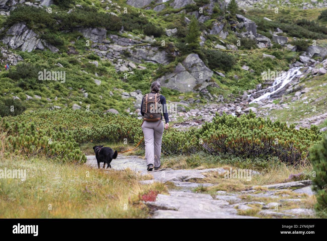 Woman hiking with her dog in the High Tauern National Park, the ...