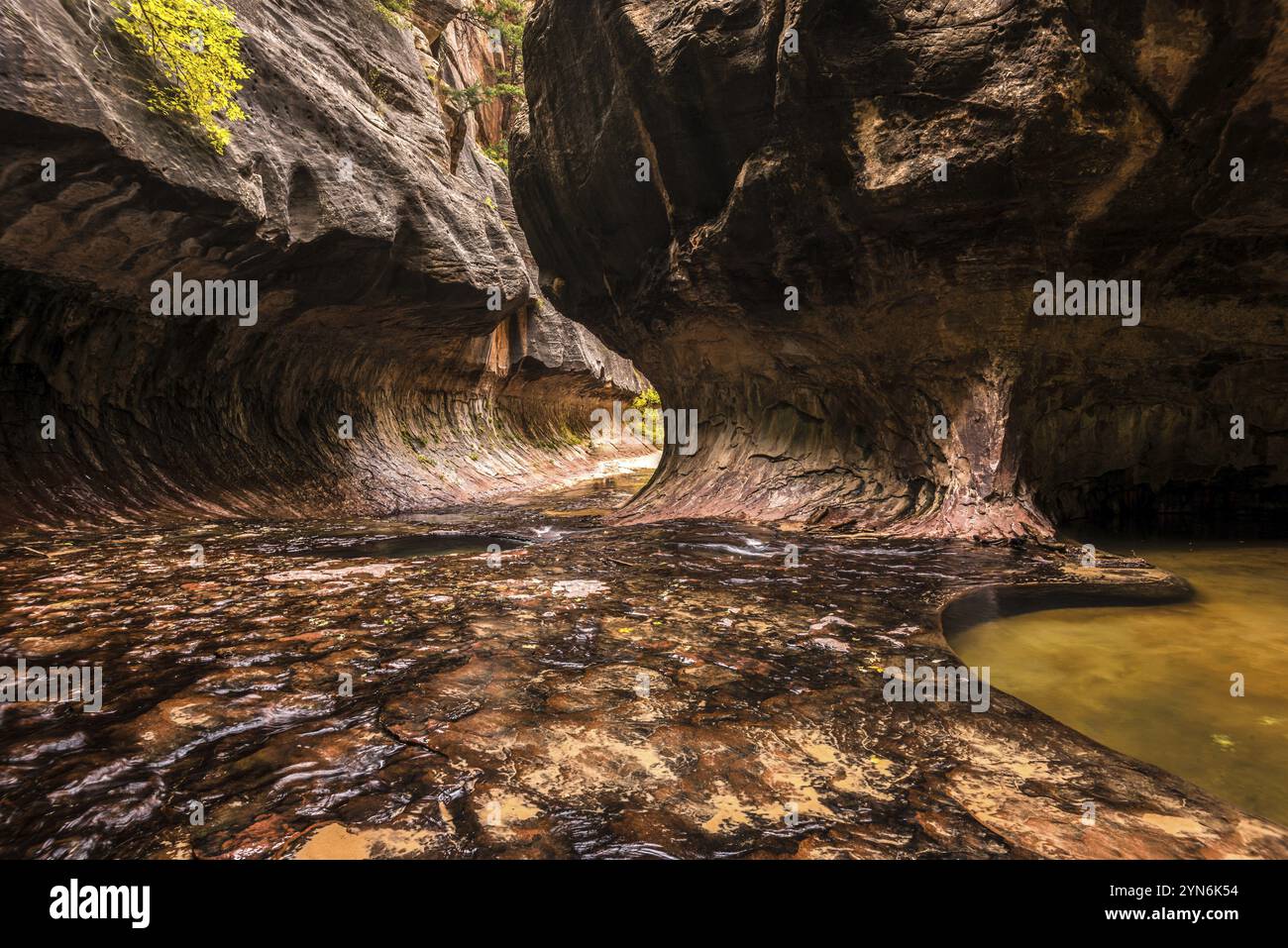 Magnificent Subway gorge landmark in the Zion National Park in Utah ...