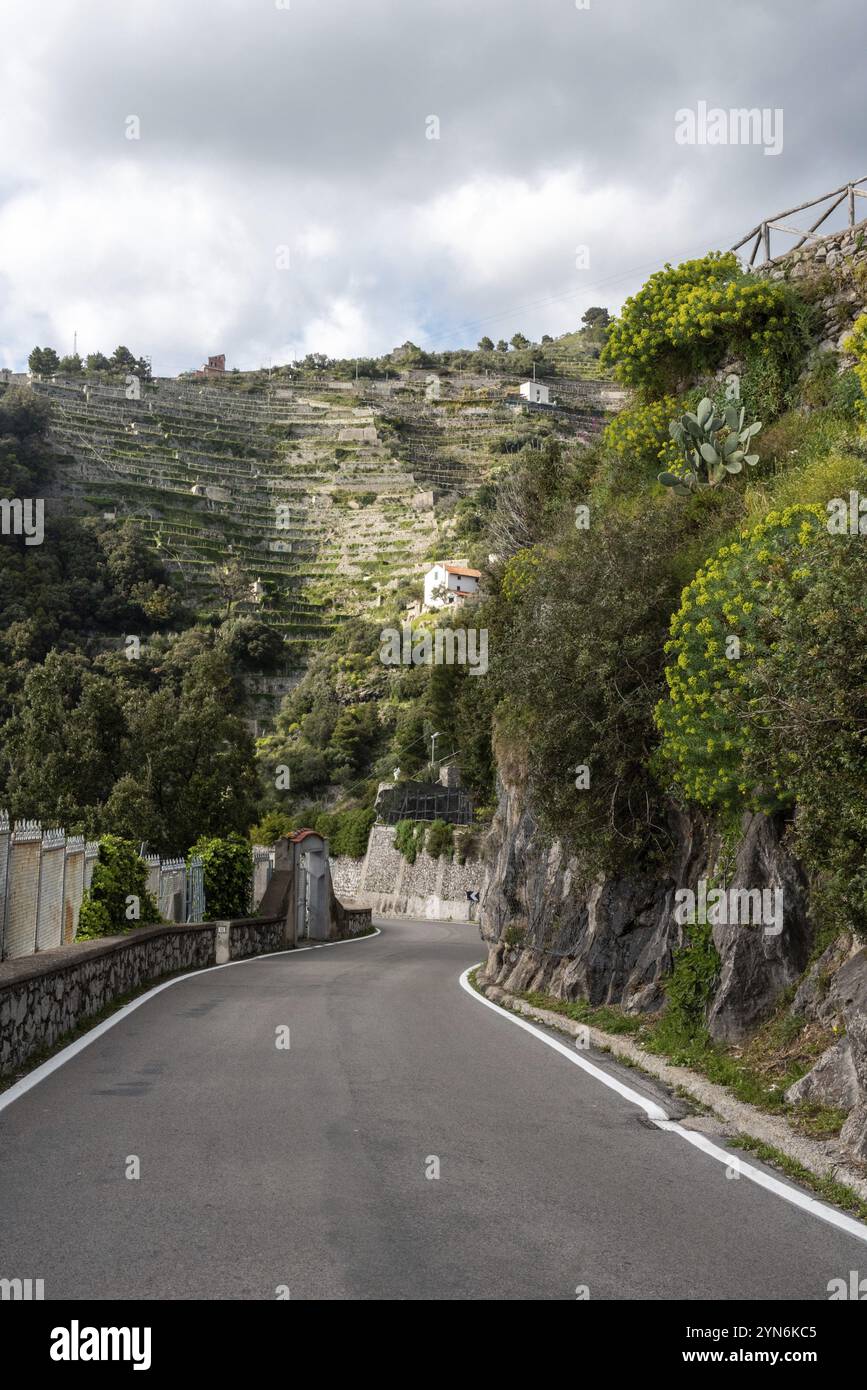 A crooked road at the Amalfi coast, lemon terraces above, Southern ...