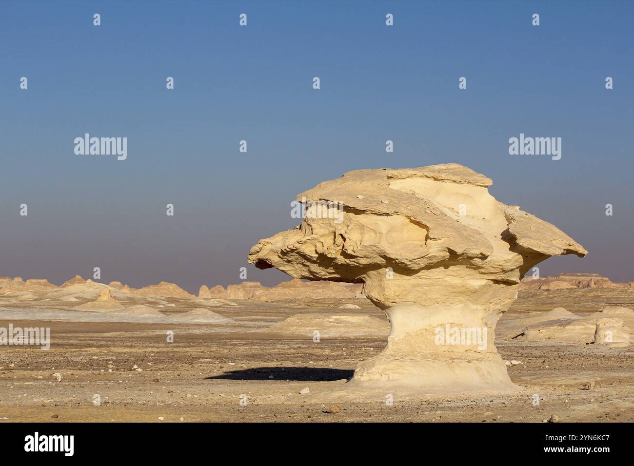Bizarre limestone formations in the Lybian desert, white desert near ...