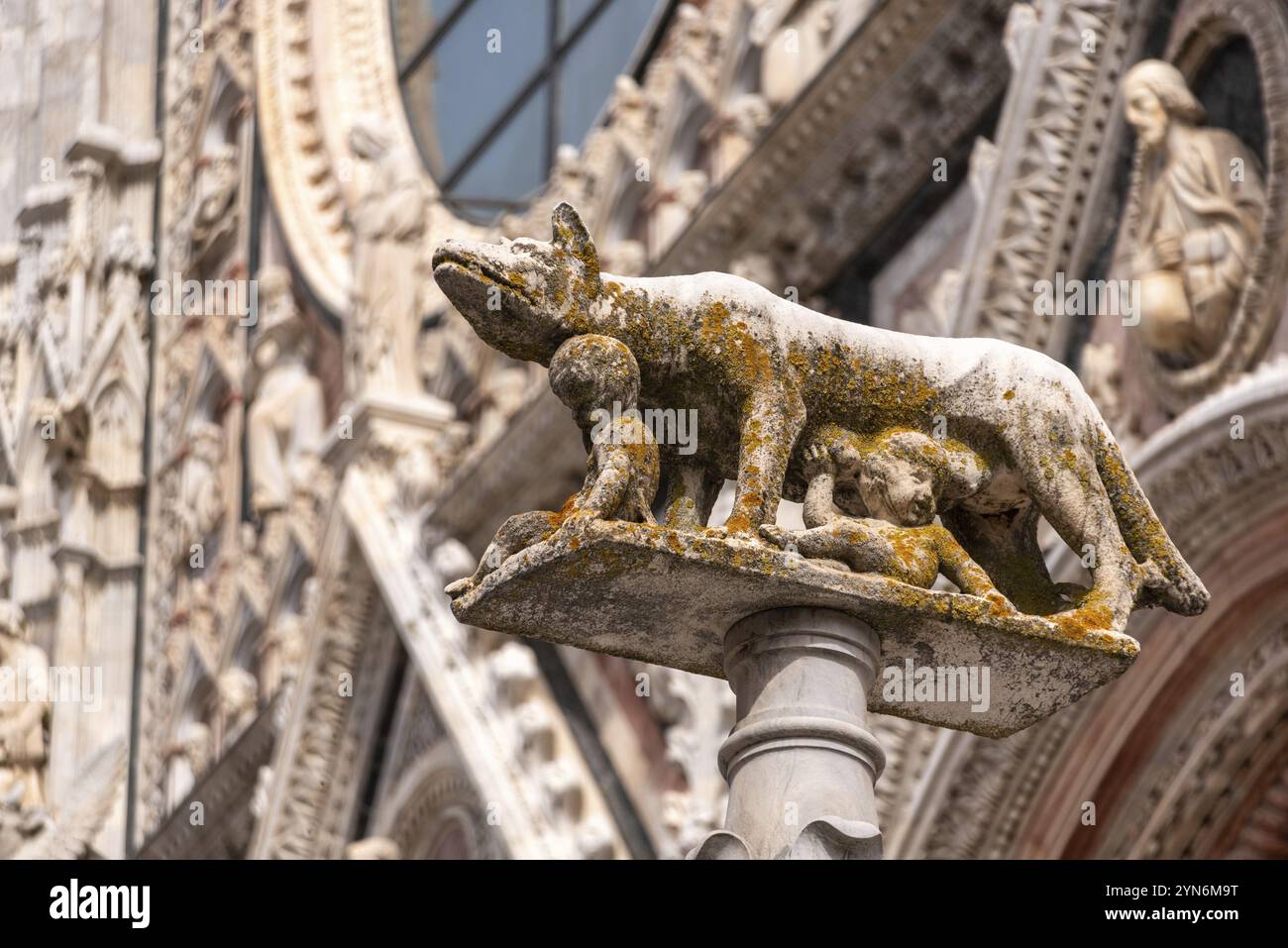 Statue of Romulus and Remus being fed by the wulf, at the central ...