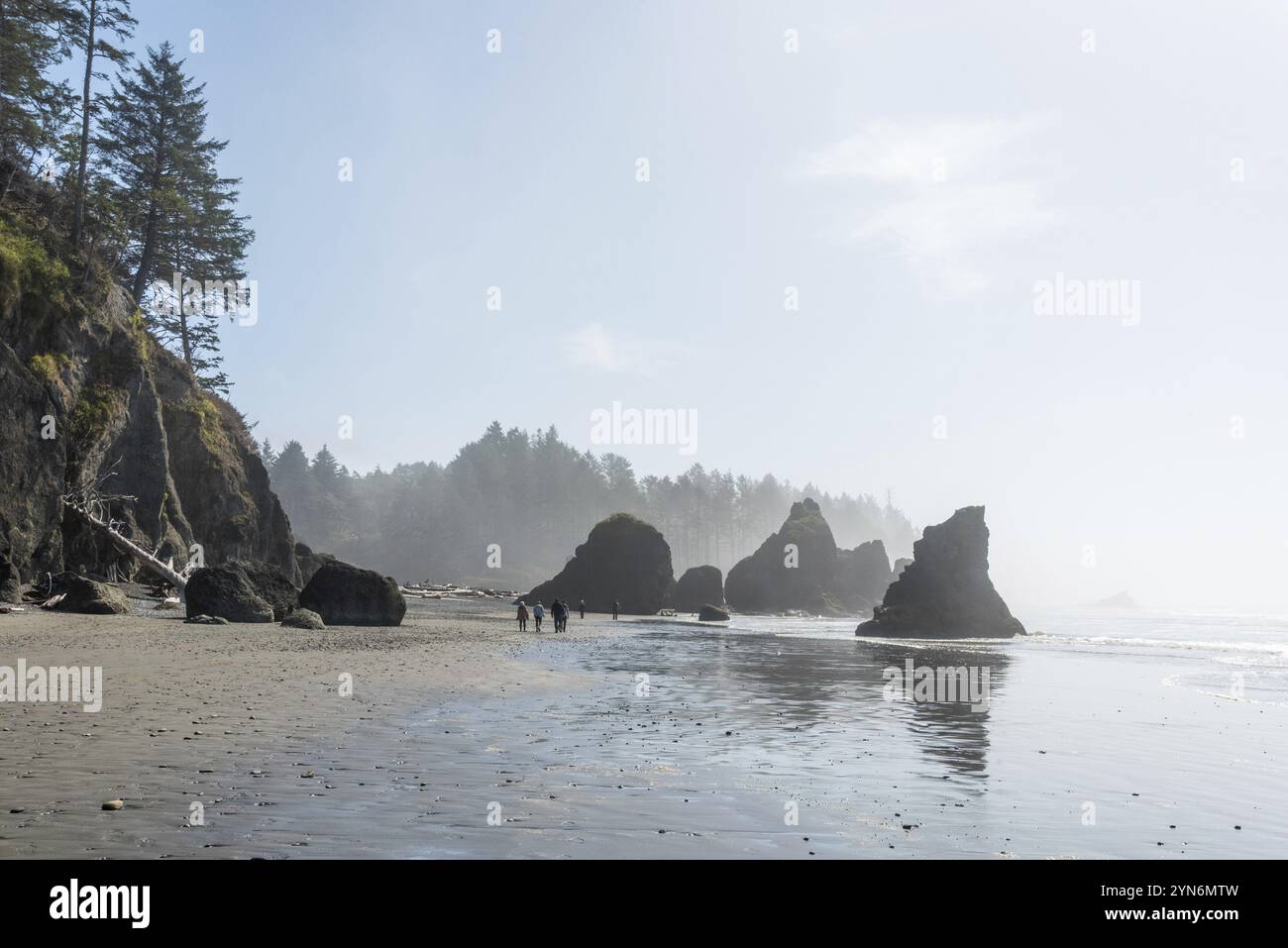 Famous Ruby Beach on the Pacific coast, Olympic National Park, USA ...
