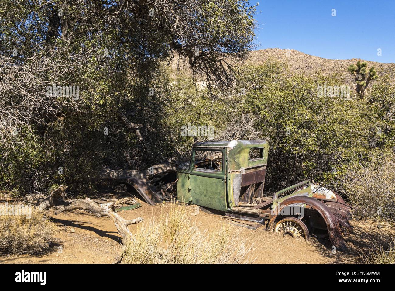 Old antique car wrecks from the old gold rush time in Joshua Tree NP ...