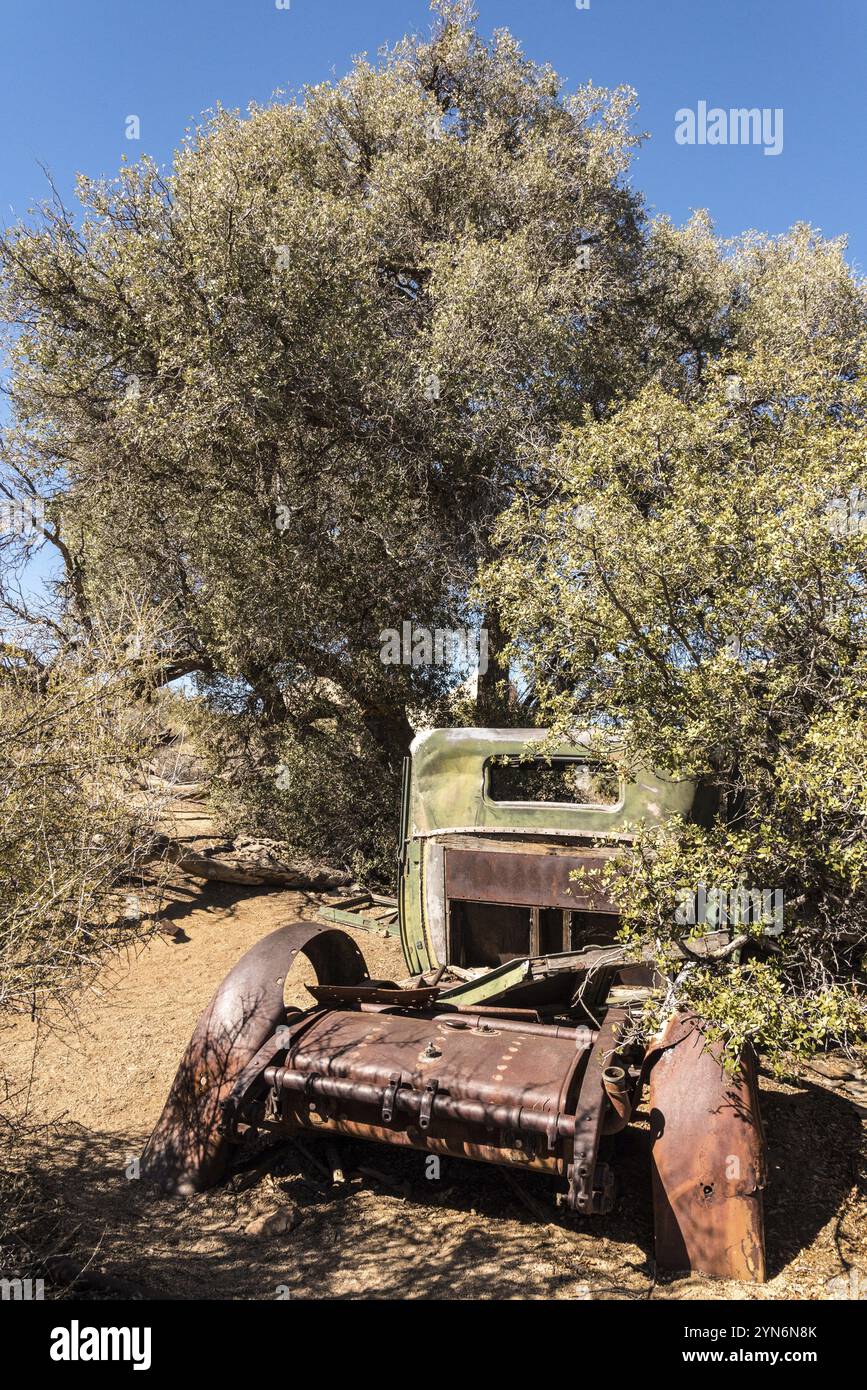Old antique car wrecks from the old gold rush time in Joshua Tree ...