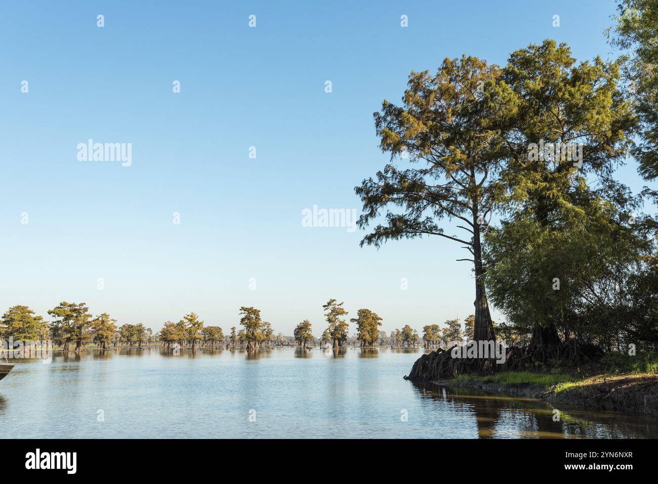 Louisiana bayous people hi-res stock photography and images - Alamy