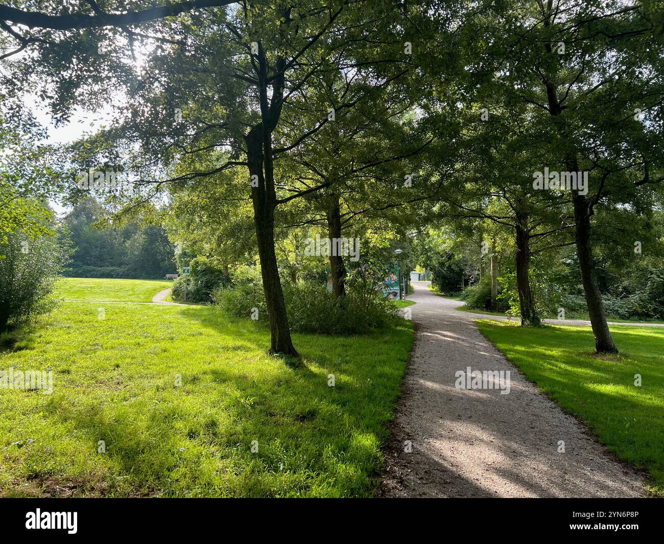 View of pathway through park with green trees alongside Stock Photo - Alamy