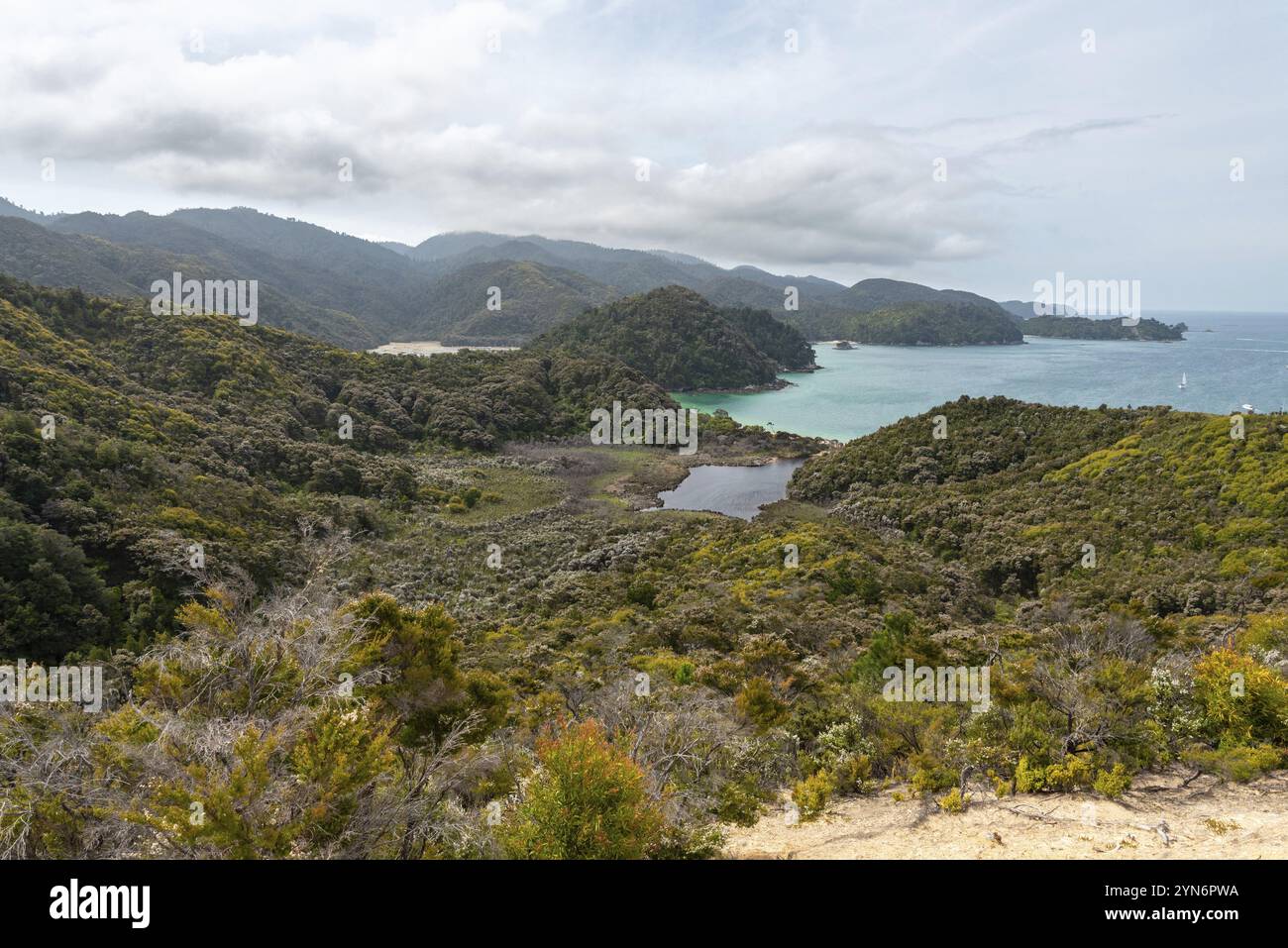Hiking the famous Abel Tasman National Park, South Island of New Zealand Stock Photo - Alamy