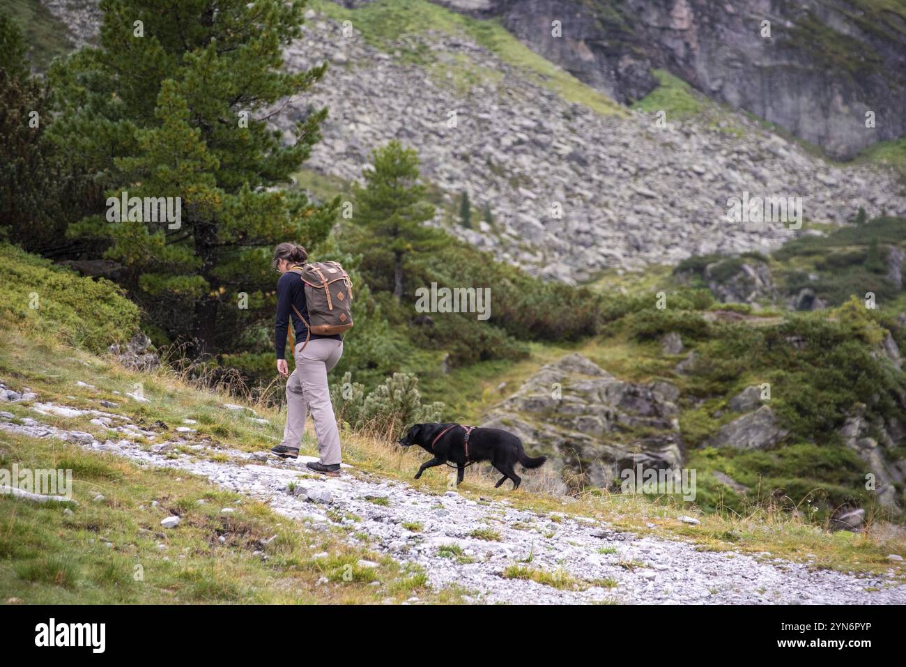 Woman hiking with her dog in the High Tauern National Park, the ...
