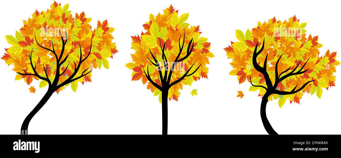 Autumn tree with coloe leaves, autumn maple Stock Vector Image & Art ...