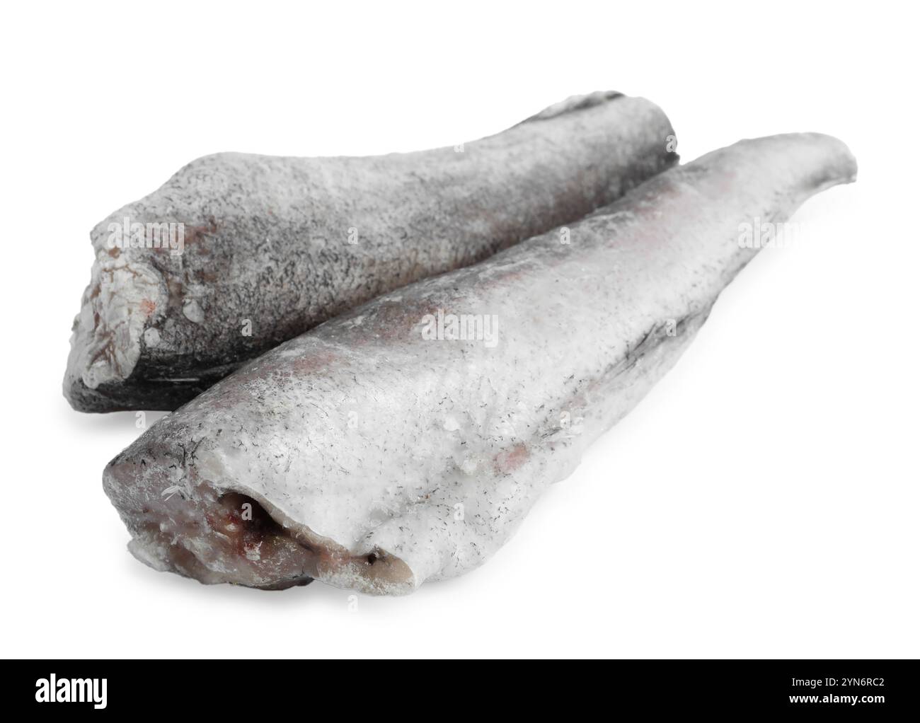 Two frozen hake fishes isolated on white Stock Photo - Alamy