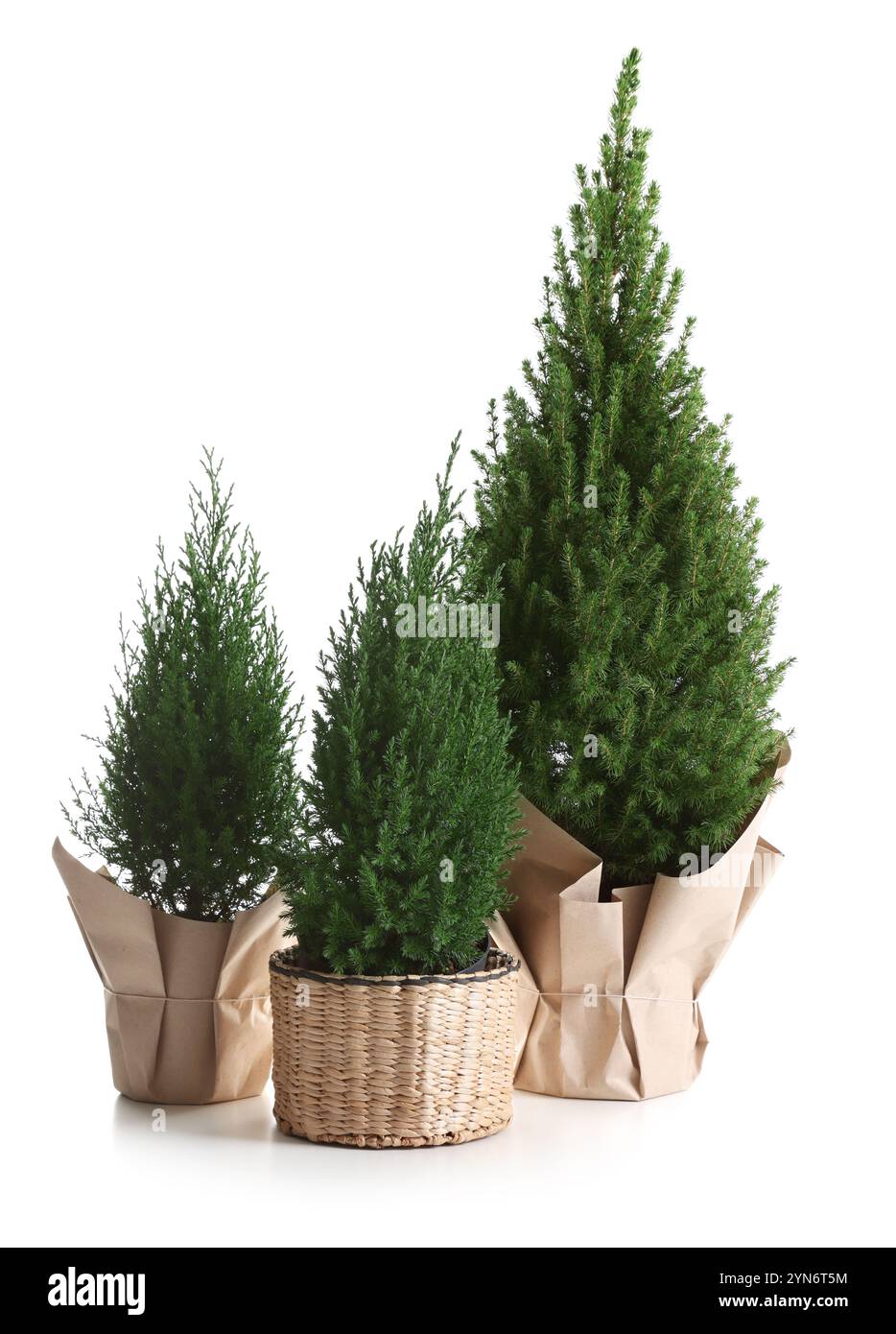 Three trees on green Cut Out Stock Images & Pictures - Alamy