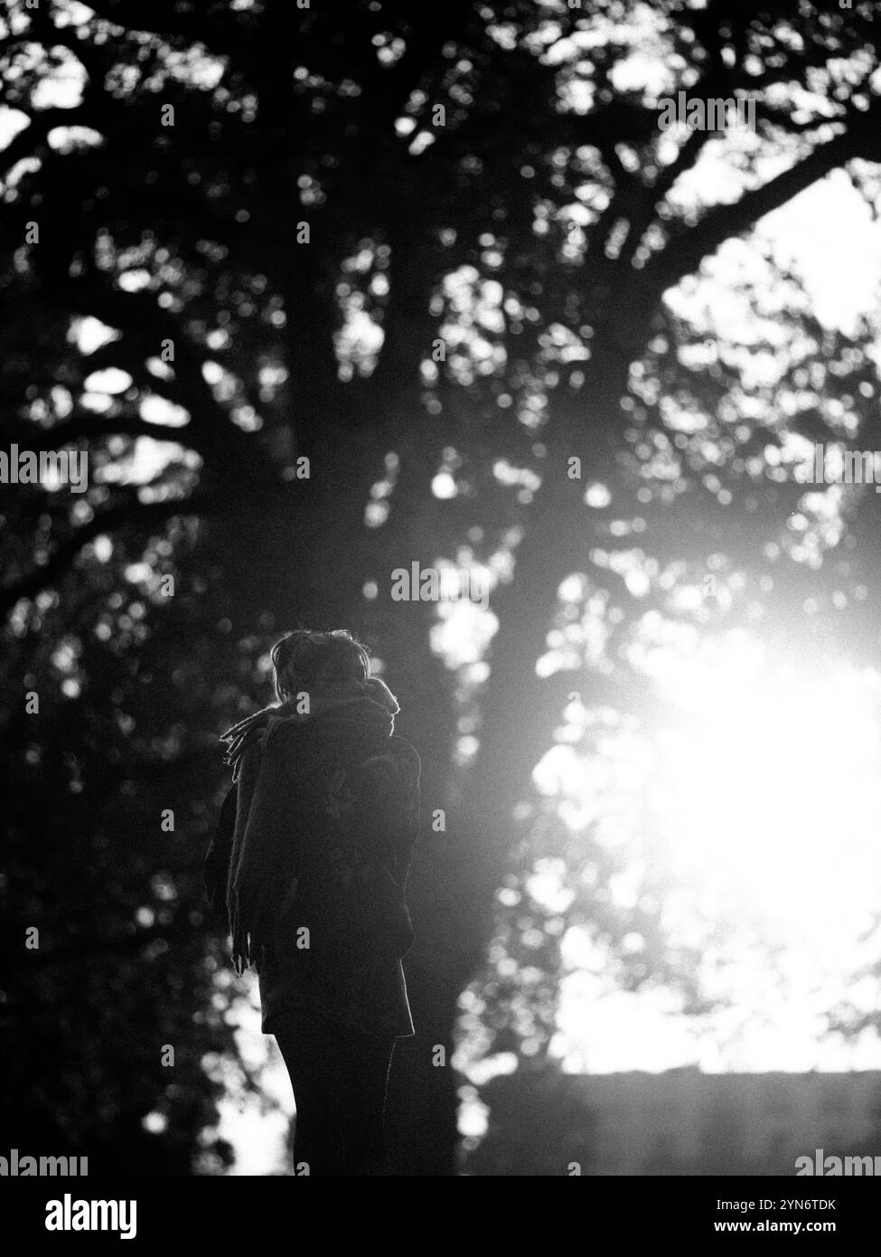 Geneva building Black and White Stock Photos & Images - Alamy