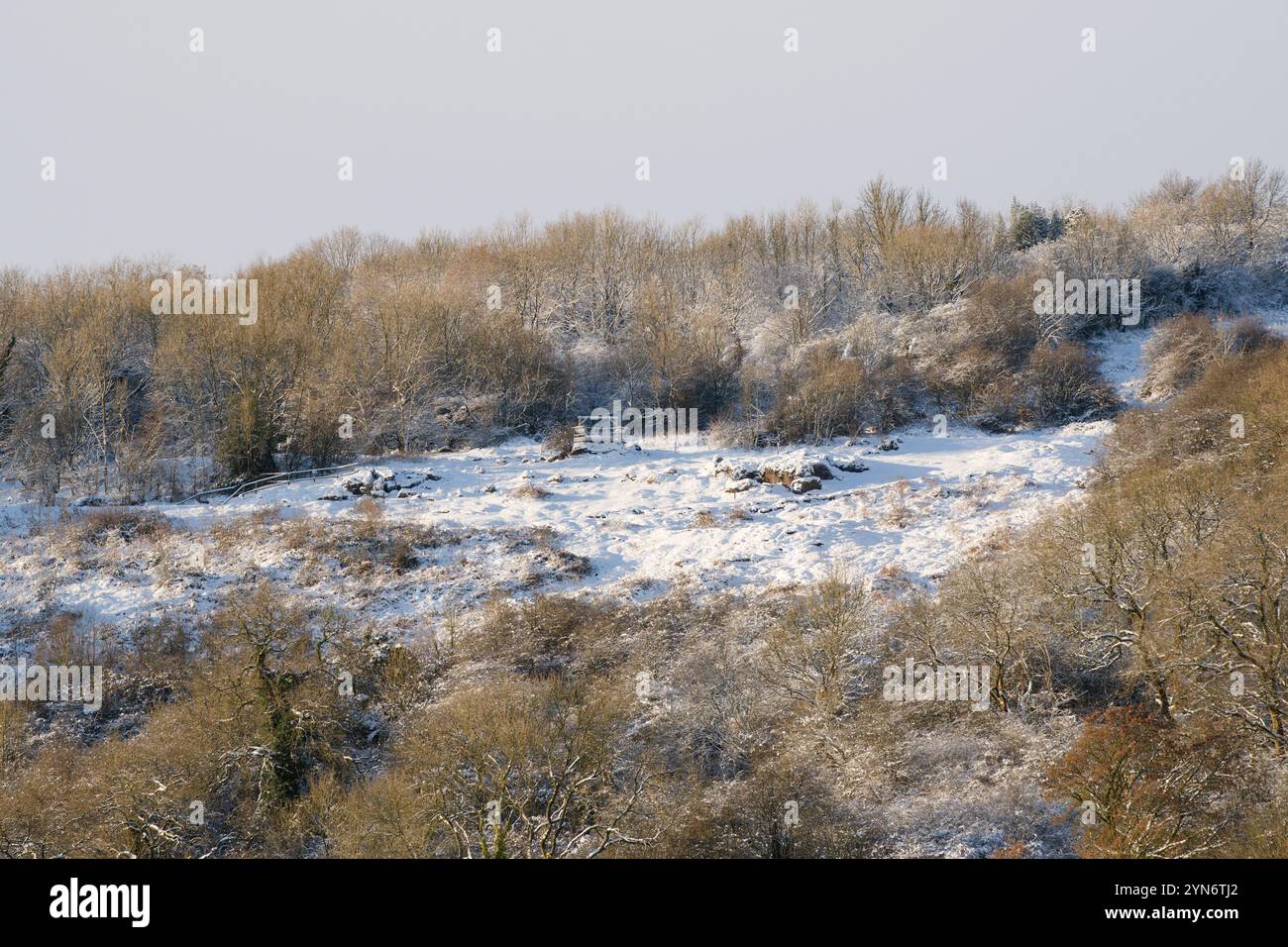 Snow scene in hillside hi-res stock photography and images - Alamy