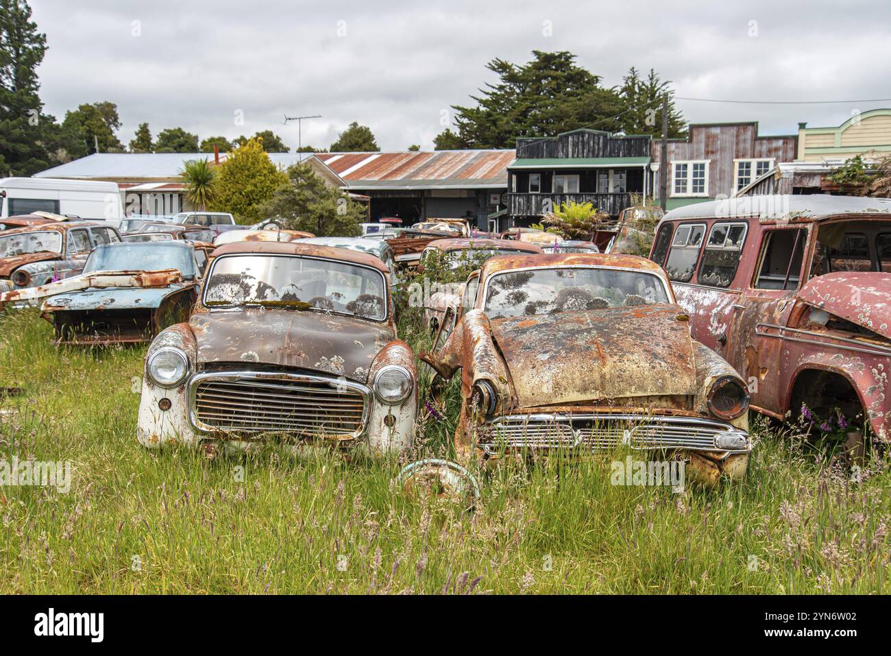 Antique cars on a big scrapyard at the end of Old Coach Road Trail ...