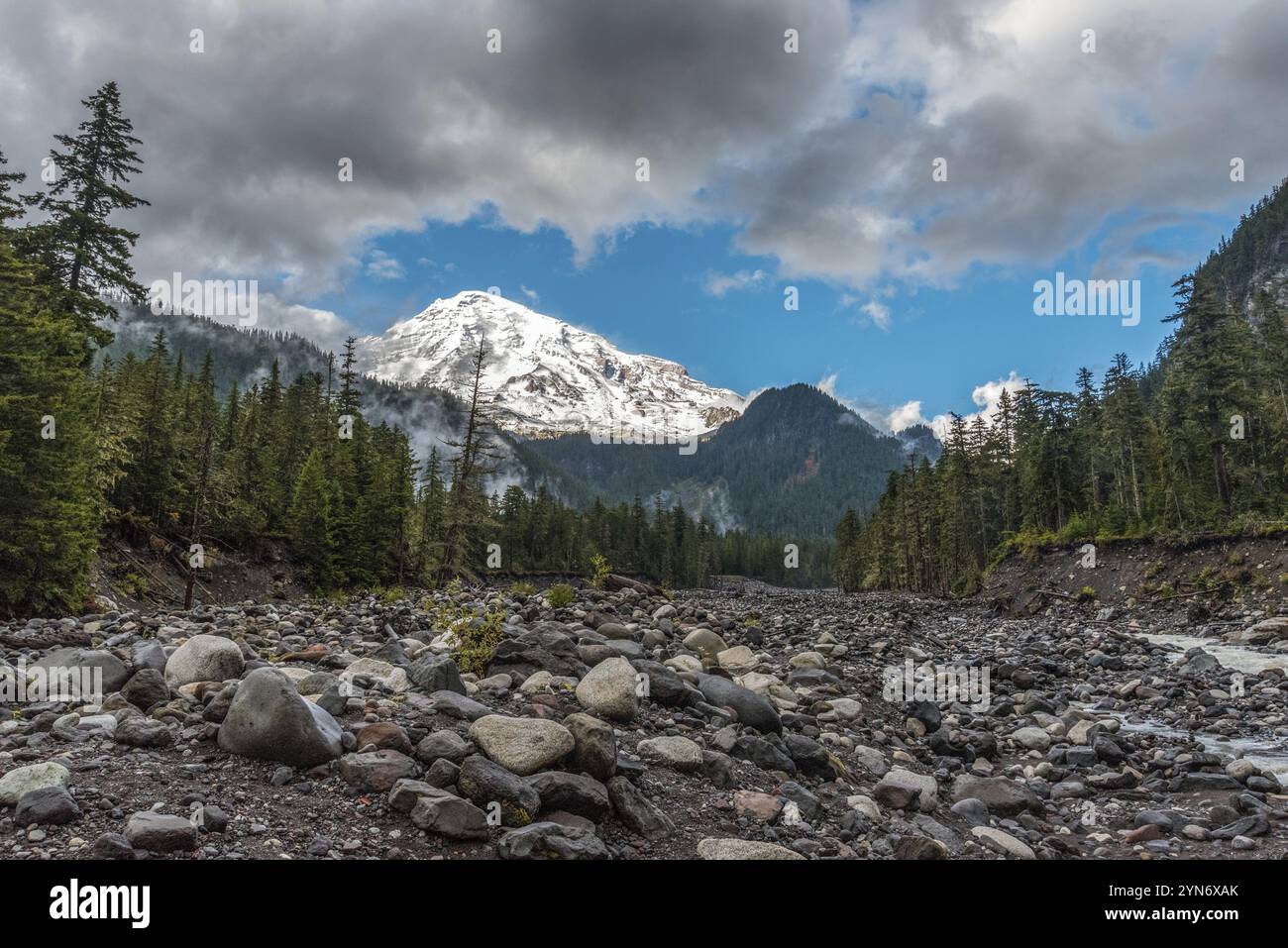 Nisqually river view hi-res stock photography and images - Alamy