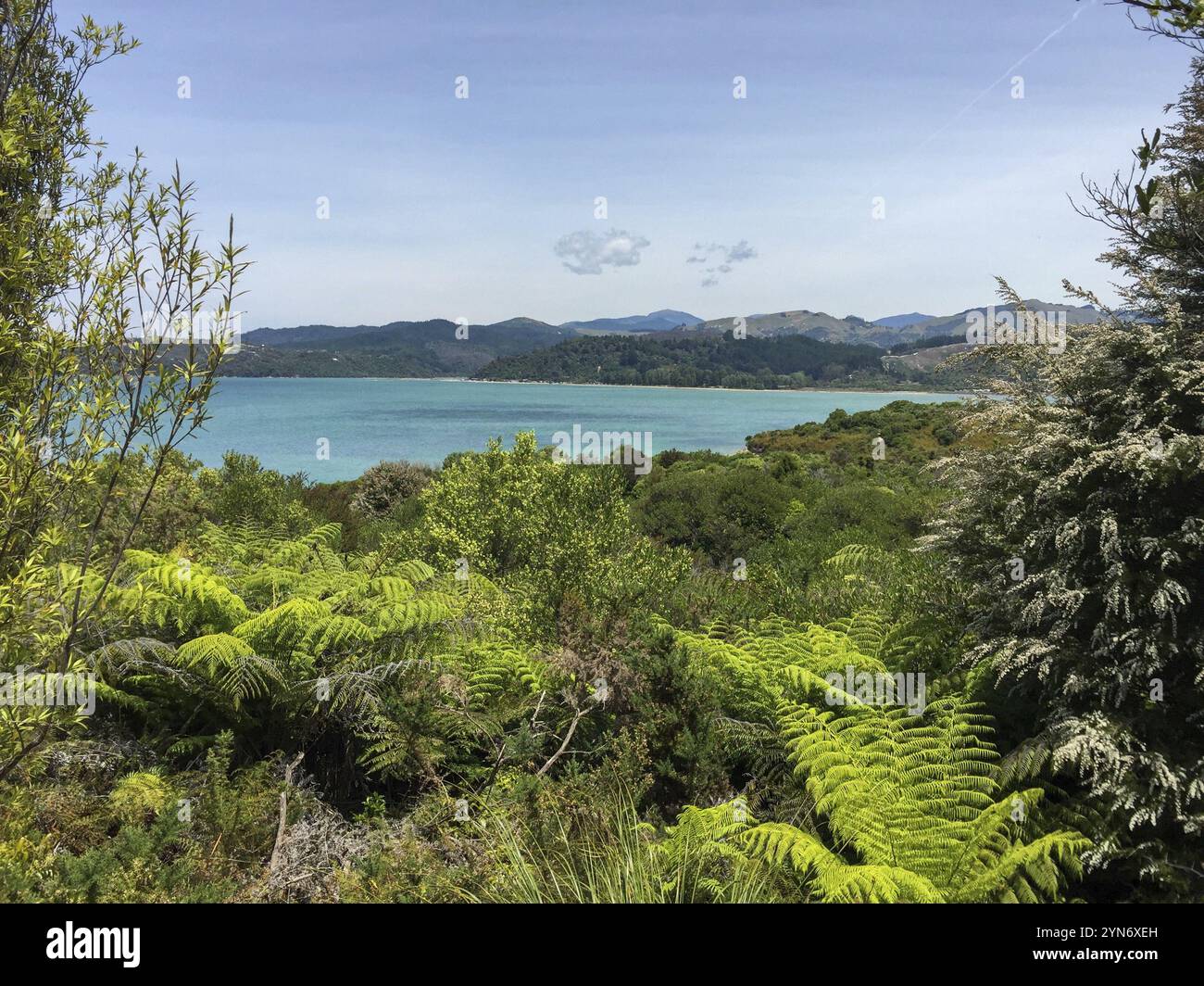 Hiking the famous Abel Tasman National Park, South Island of New ...