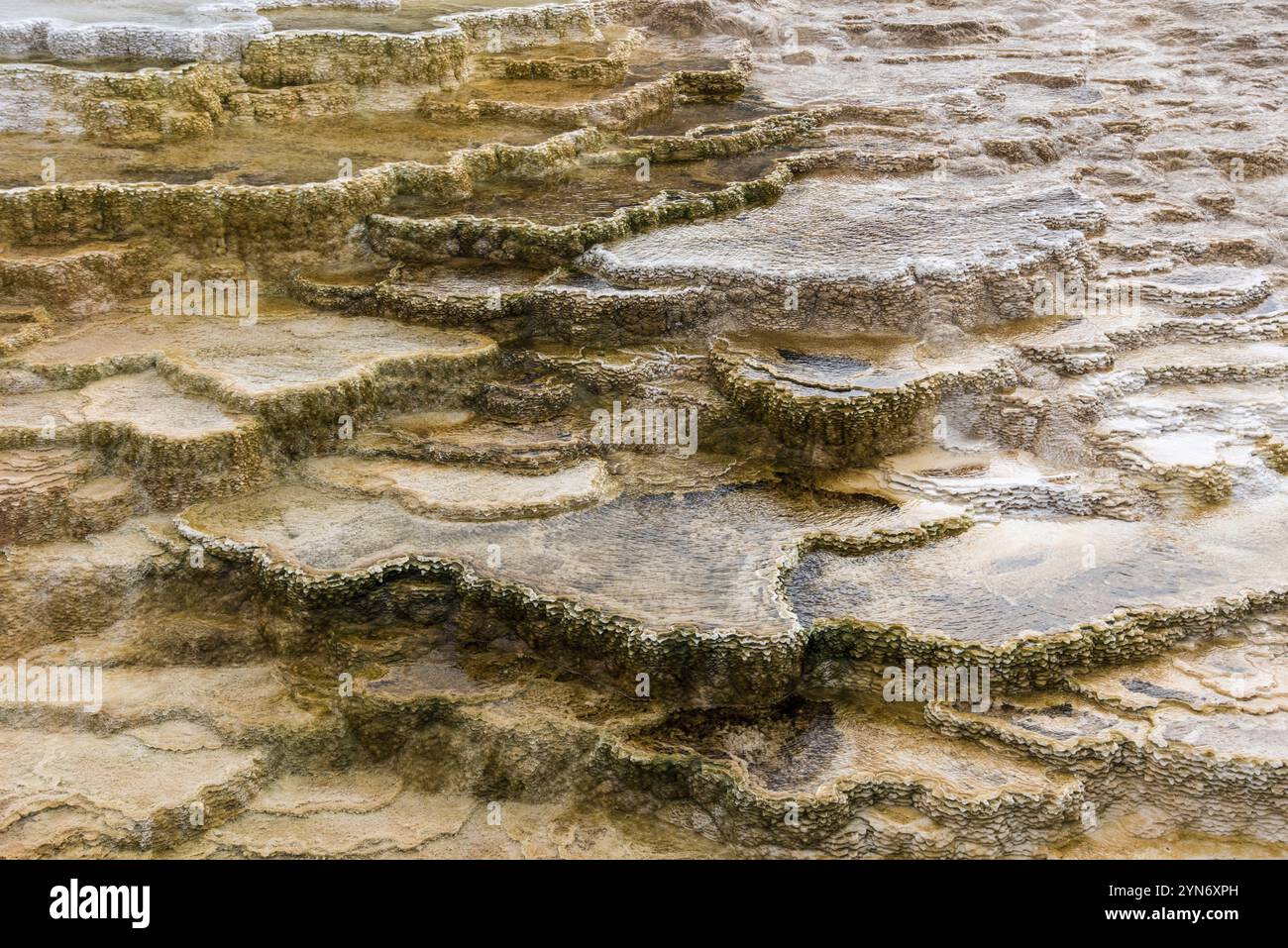 Scenic lifeless calcium terraces at Mammoth Hot Springs, Yellowstone ...