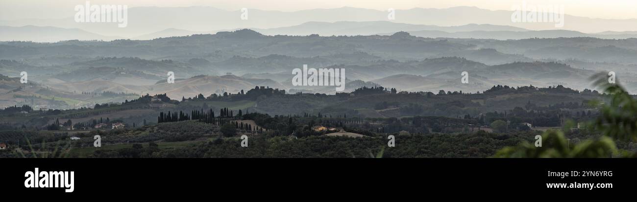 Conifers hills hi-res stock photography and images - Alamy