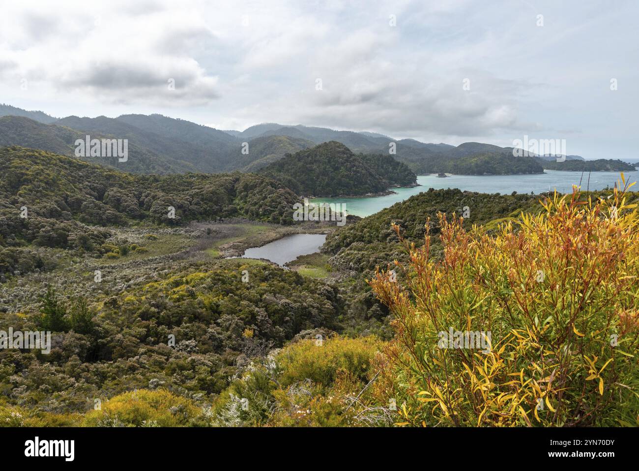 Hiking the famous Abel Tasman National Park, South Island of New Zealand Stock Photo - Alamy