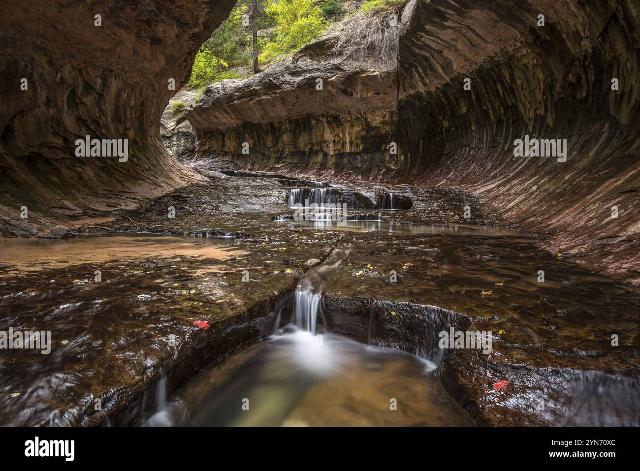 Magnificent Subway gorge landmark in the Zion National Park in Utah ...