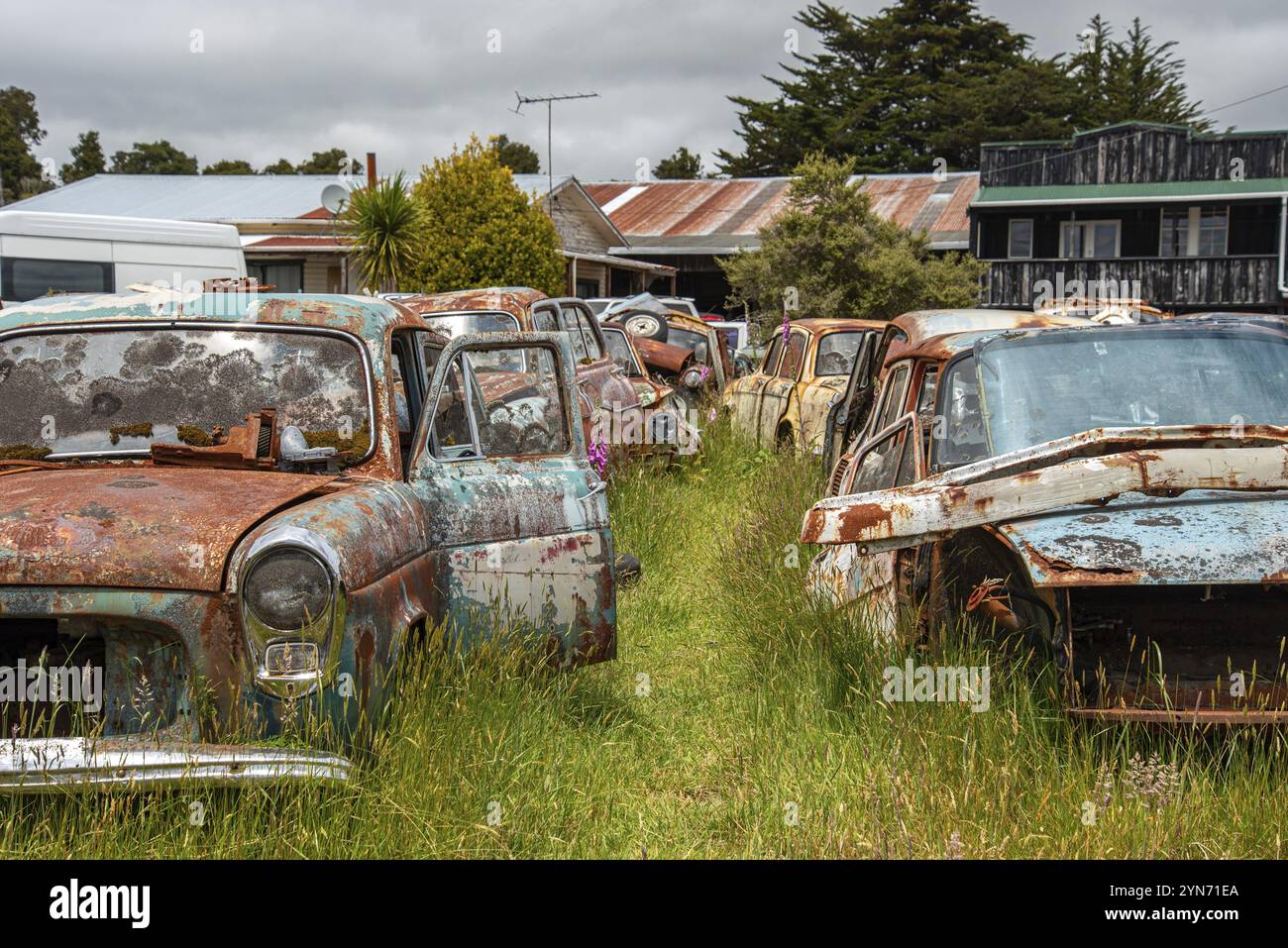 Antique cars on a big scrapyard at the end of Old Coach Road Trail ...