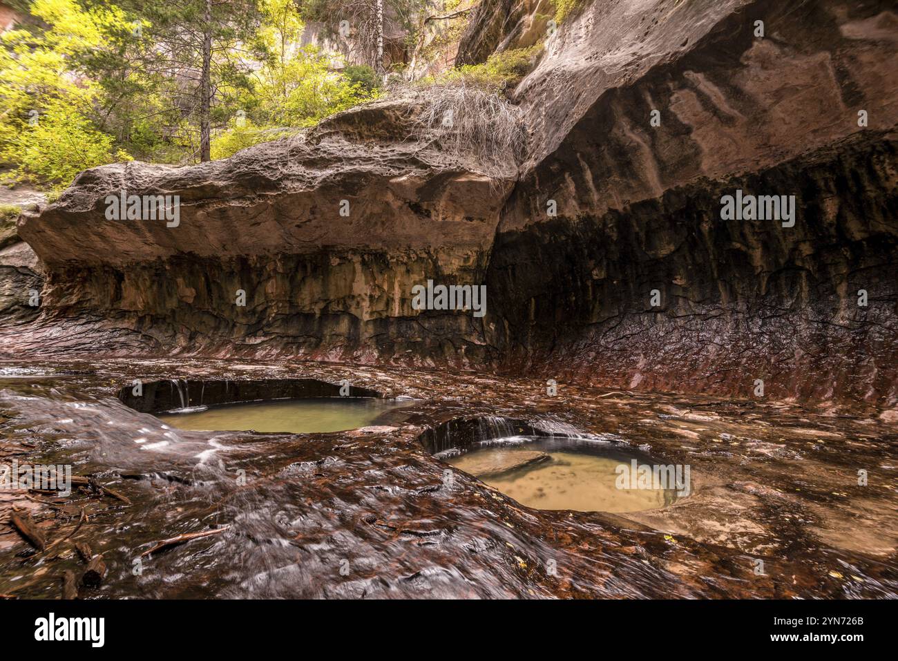 Magnificent Subway gorge landmark in the Zion National Park in Utah ...