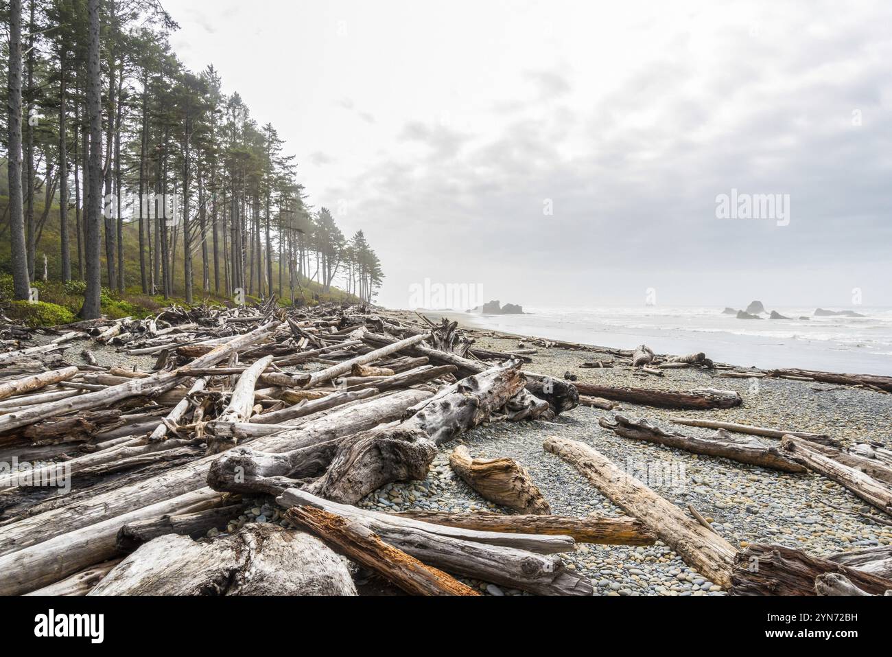 Famous Ruby Beach on the Pacific coast, Olympic National Park, USA ...