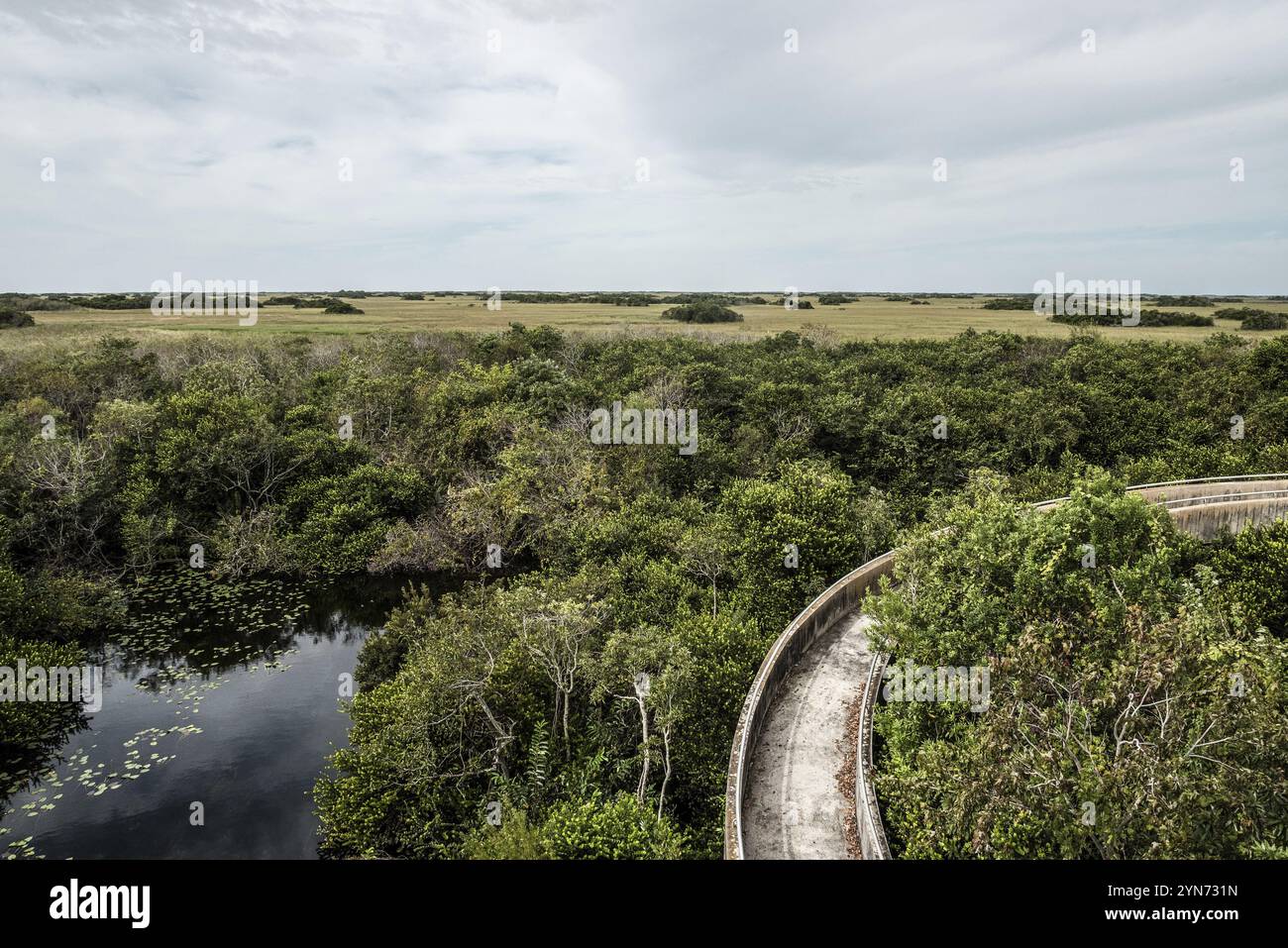 Everglades national park lookout tower hi-res stock photography and ...