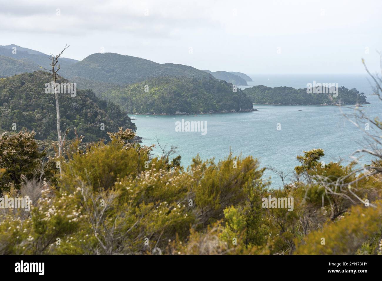 Hiking the famous Abel Tasman National Park, South Island of New Zealand Stock Photo - Alamy