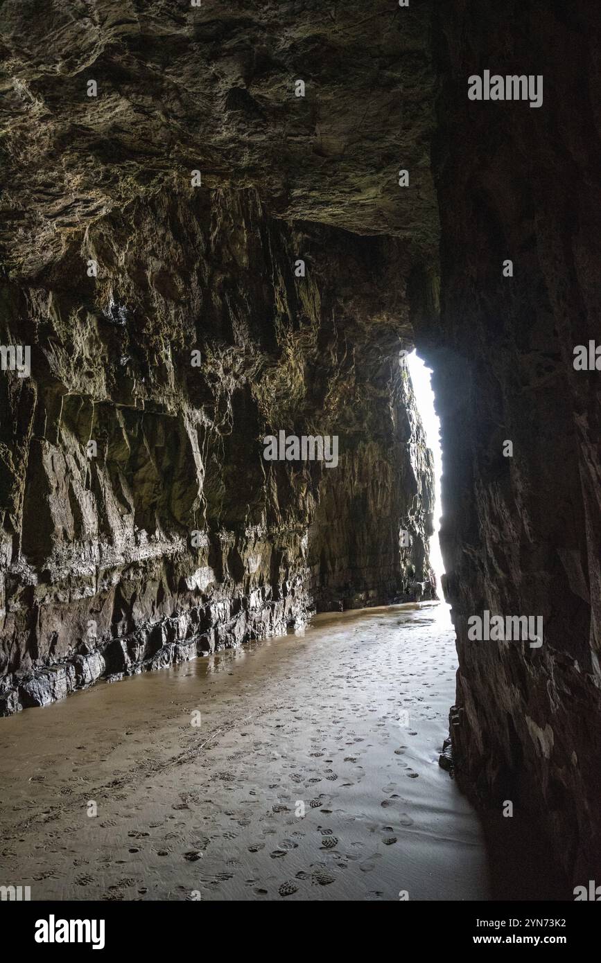 Famous cathedral caves at the coast of New Zealands South Island Stock ...