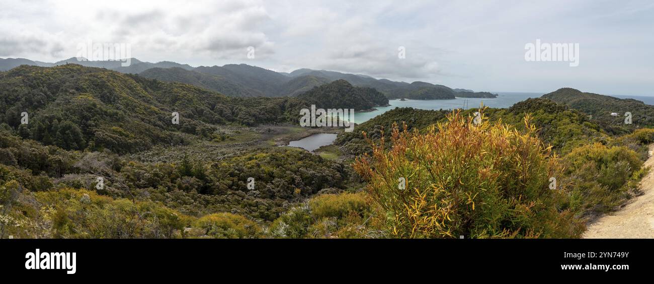 Hiking the famous Abel Tasman National Park, South Island of New Zealand Stock Photo - Alamy