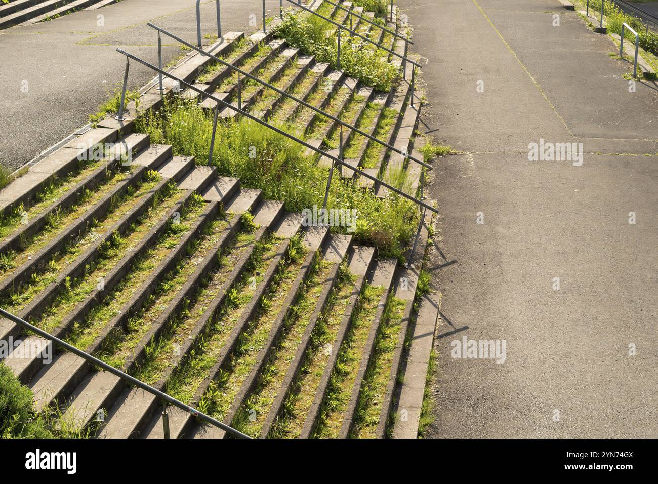 Wide steps, overgrown outside in the sun Stock Photo - Alamy