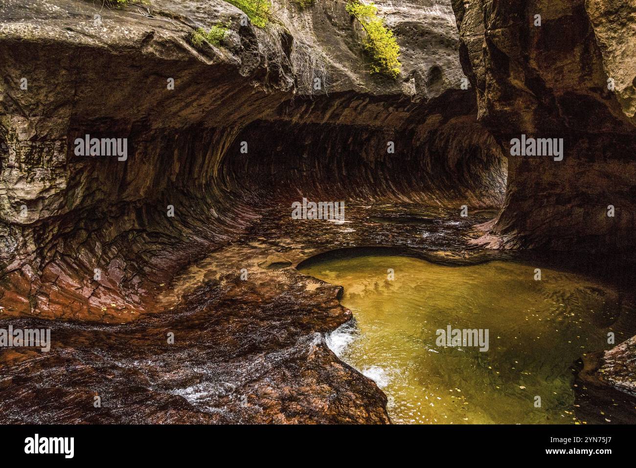 Magnificent Subway gorge landmark in the Zion National Park in Utah ...