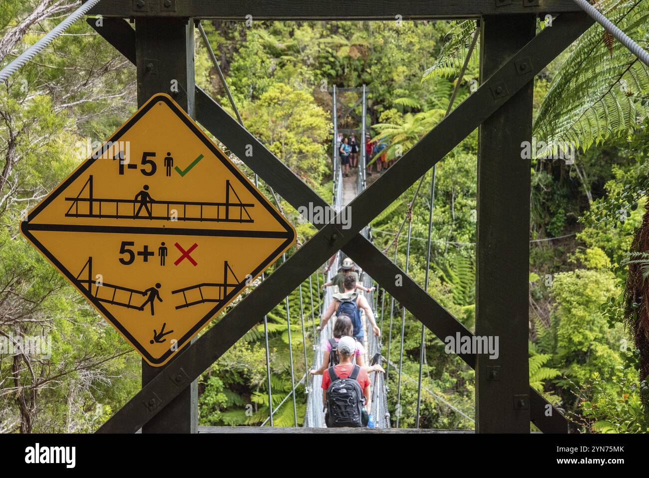 Warning signs about a suspension footbridge in Abel Tasman Cost Track ...