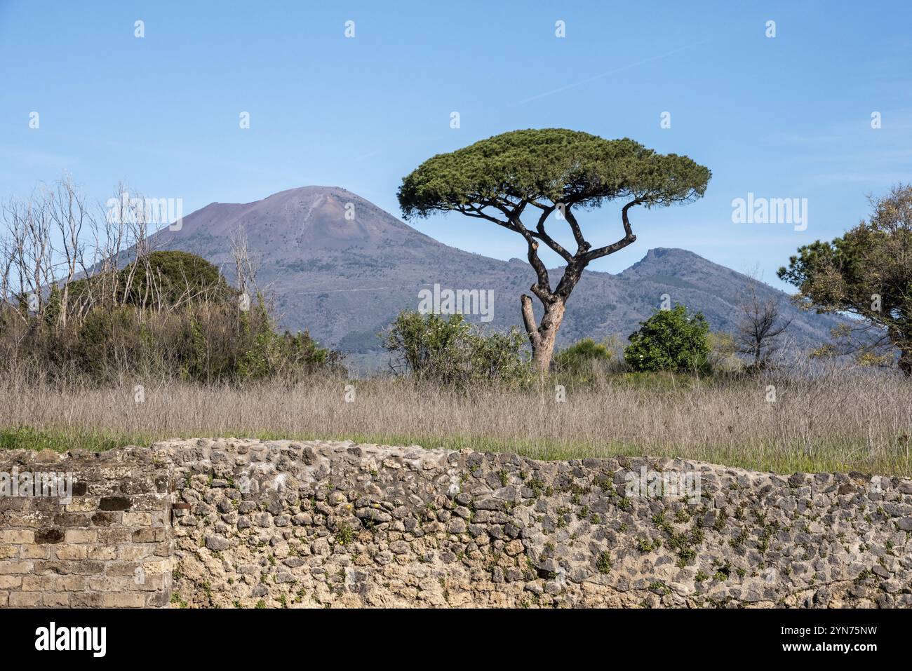 Landscape around the famous mount Vesuvius near Pompeii, Southern Italy ...