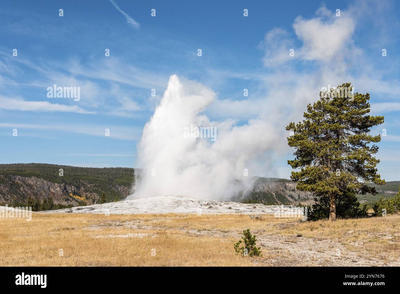 Famous Old Faithful geyser erupting, Yellowstone National Park, USA ...
