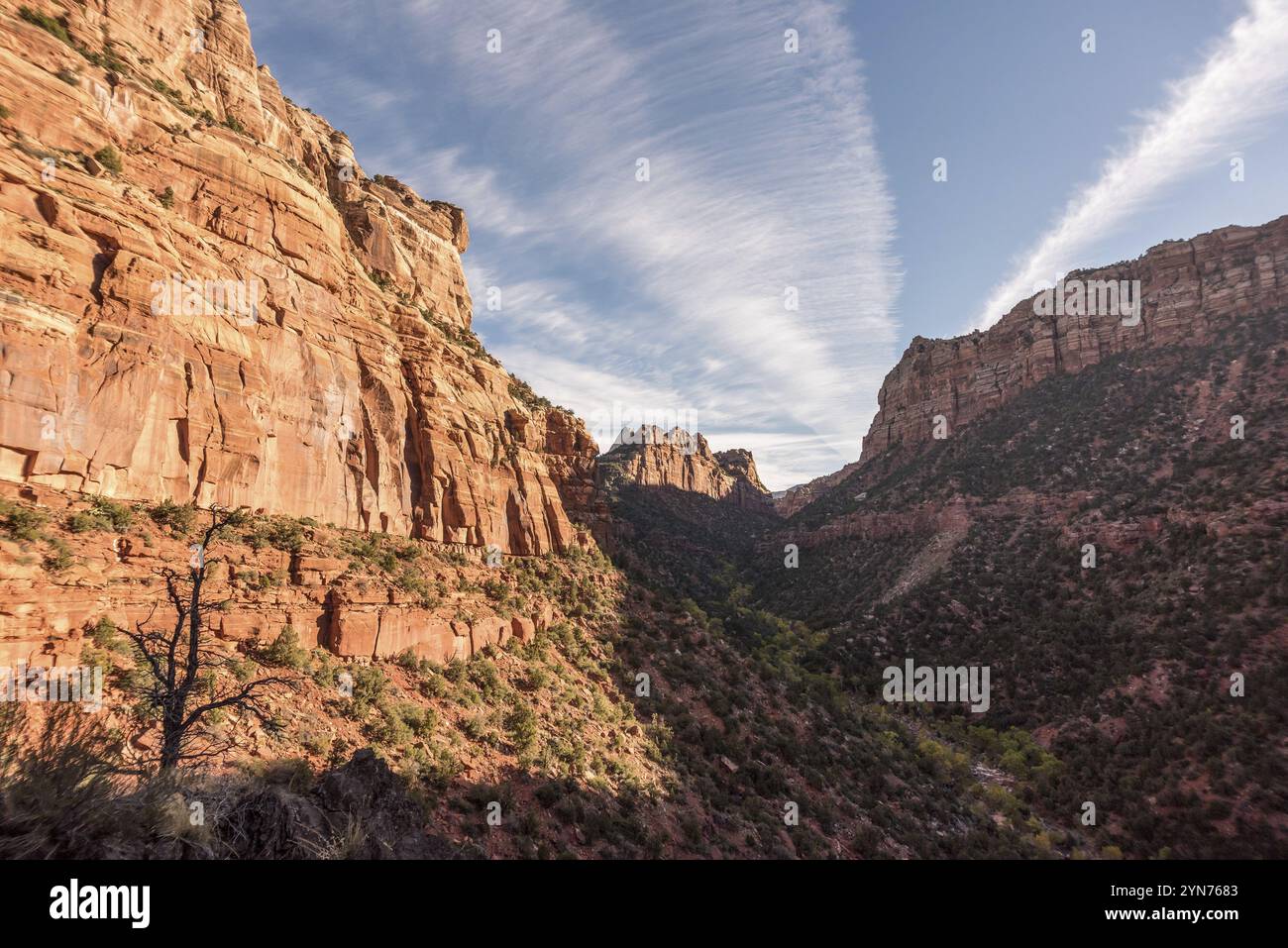 Hiking the Left Fork Trail to the Subway gorge, Zion National Park, USA ...