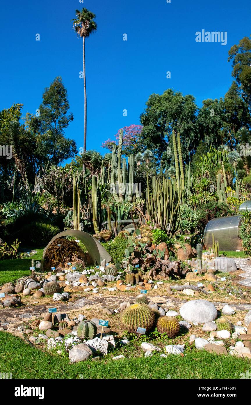 Naples botanical gardens italy hi-res stock photography and images - Alamy