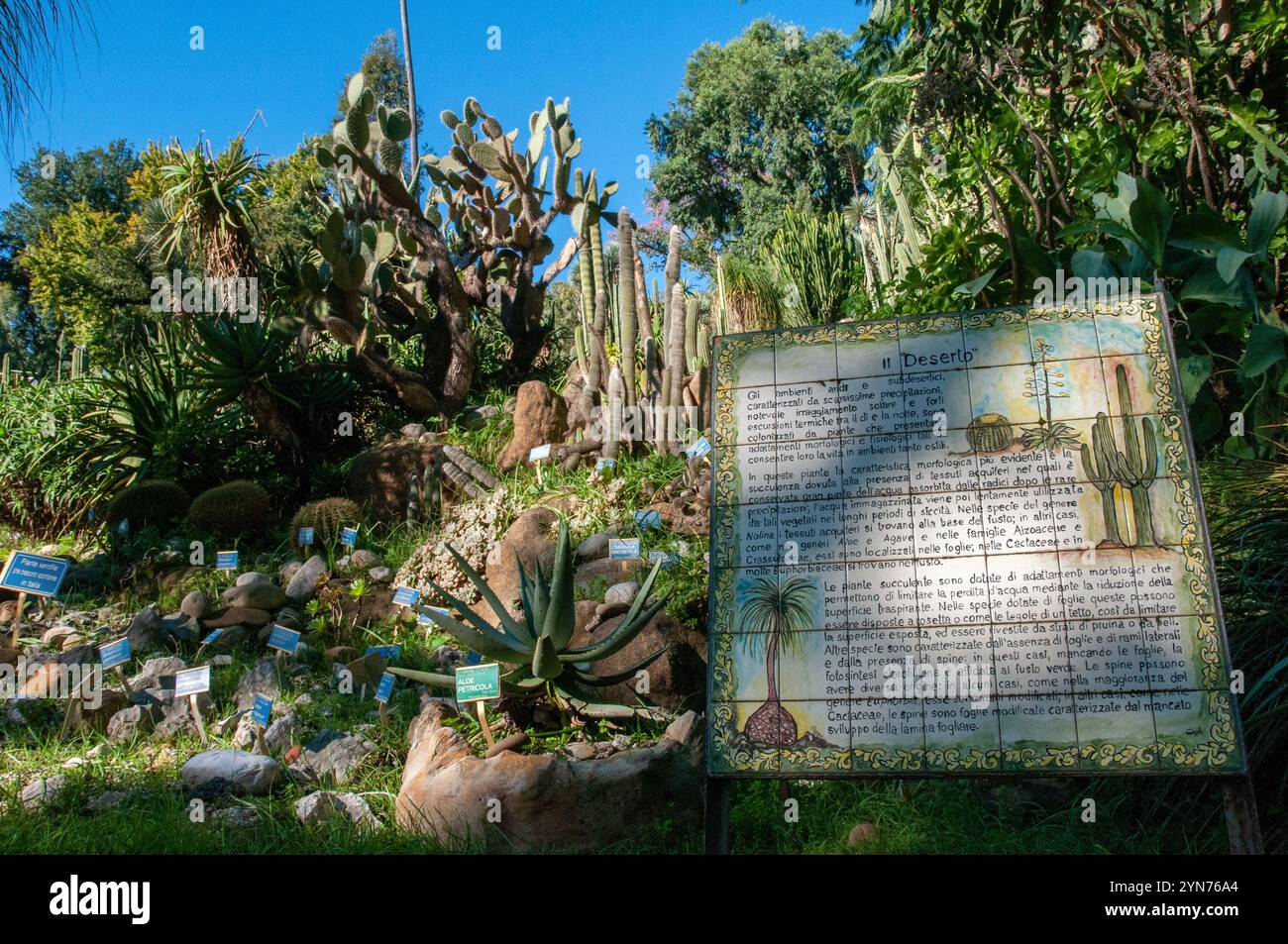 Royal Botanical Garden of Naples Stock Photo - Alamy