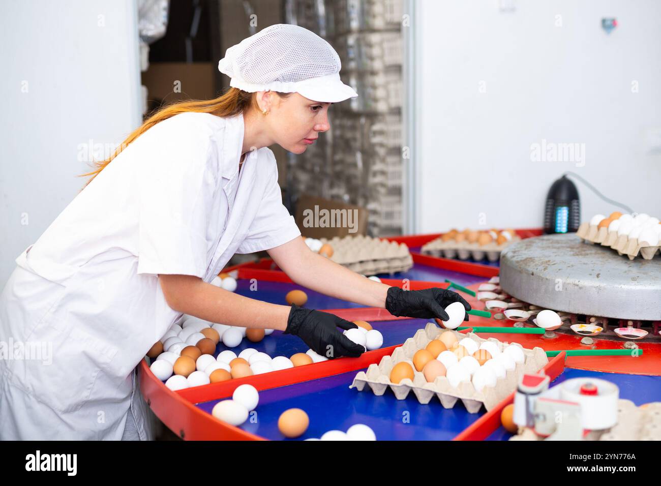 Focused young woman farmer worker in white coat sorting and labeling ...