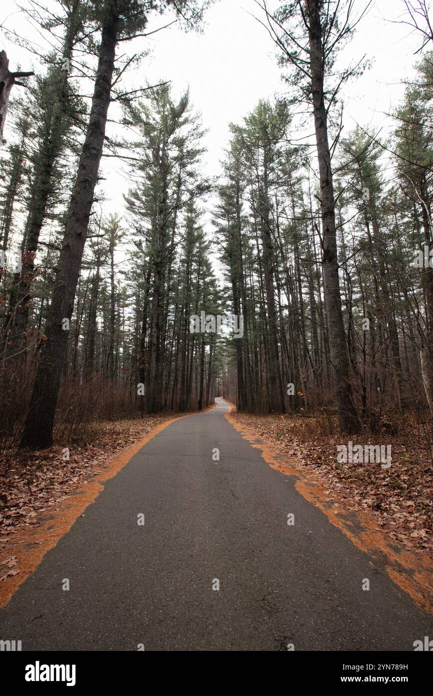 Council grounds state park hi-res stock photography and images - Alamy
